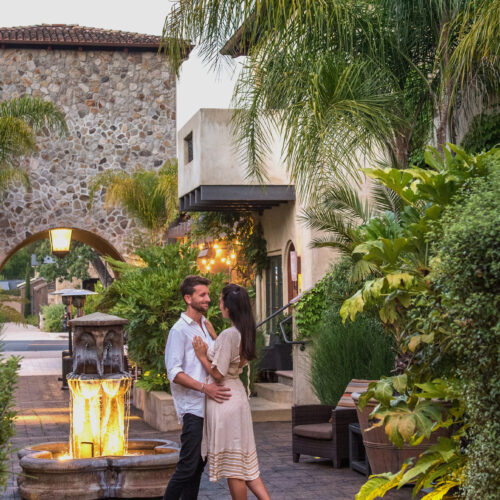 A Modern Boutique Napa Valley Hotel - North Block Yountville